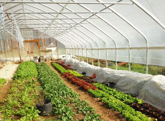 2016 Grantee Highlight: Two Boots Farm - The FruitGuys Community Fund