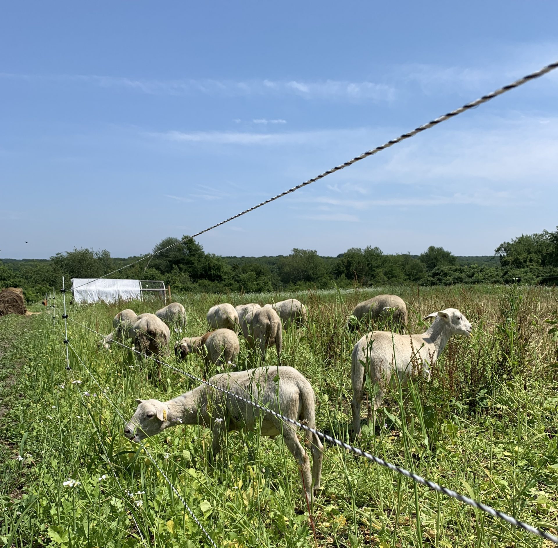 2022 Farm Grantees: Successes & Challenges - The FruitGuys Community ...