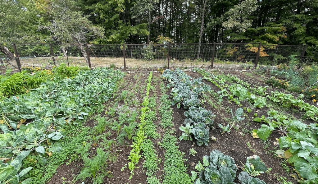The Laurels Farm - The FruitGuys Community Fund