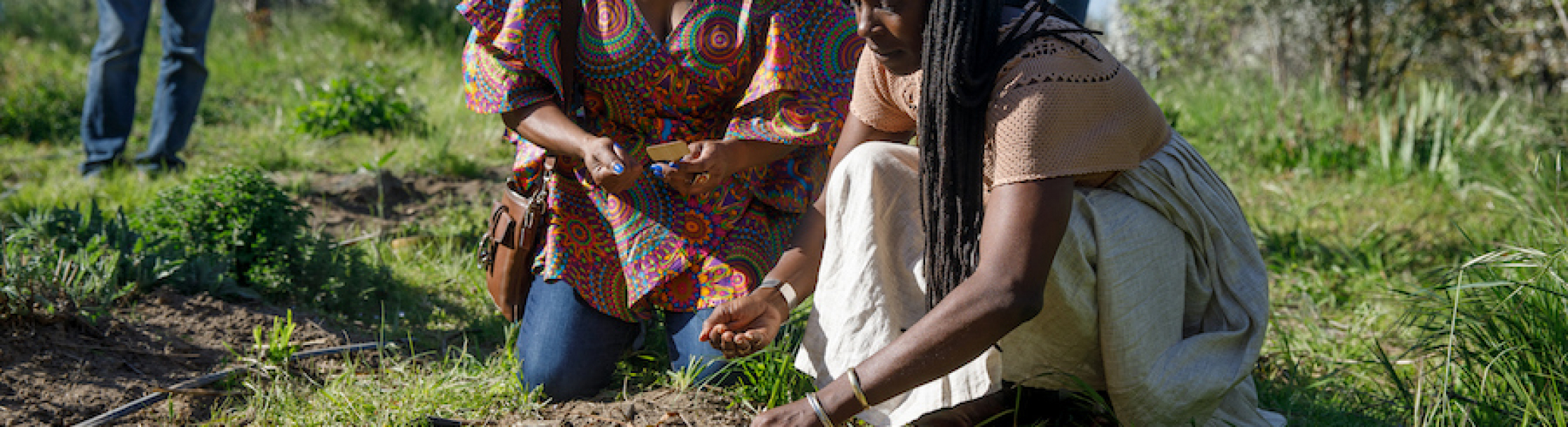 EARTHseed Farm - The FruitGuys Community Fund