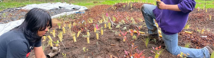 Garden-Raised Bounty (GRuB) - The FruitGuys Community Fund