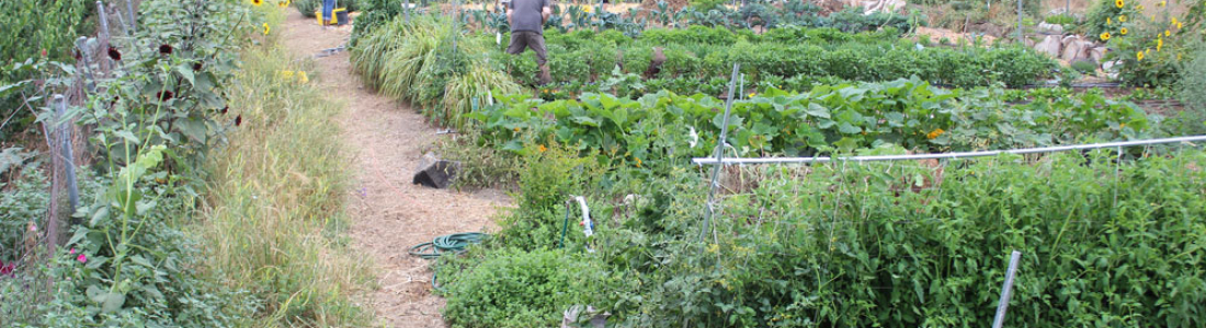 Pomona urban farm receives one of 10 grants awarded nationwide - The ...