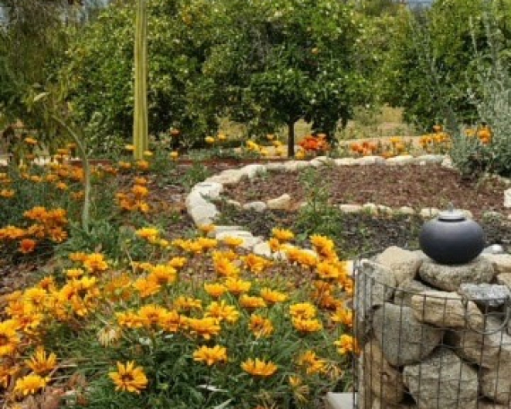 Shao Shan Farm - The FruitGuys Community Fund