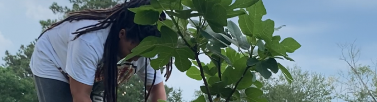 TruCulture Farm - The FruitGuys Community Fund